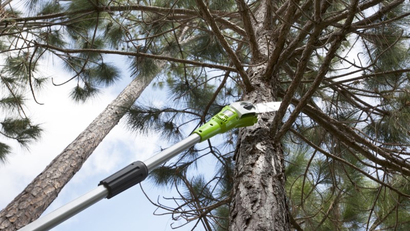 Купить Высоторез/Сучкорез аккумуляторный Greenworks G24PS20, 24V, 20 см ...